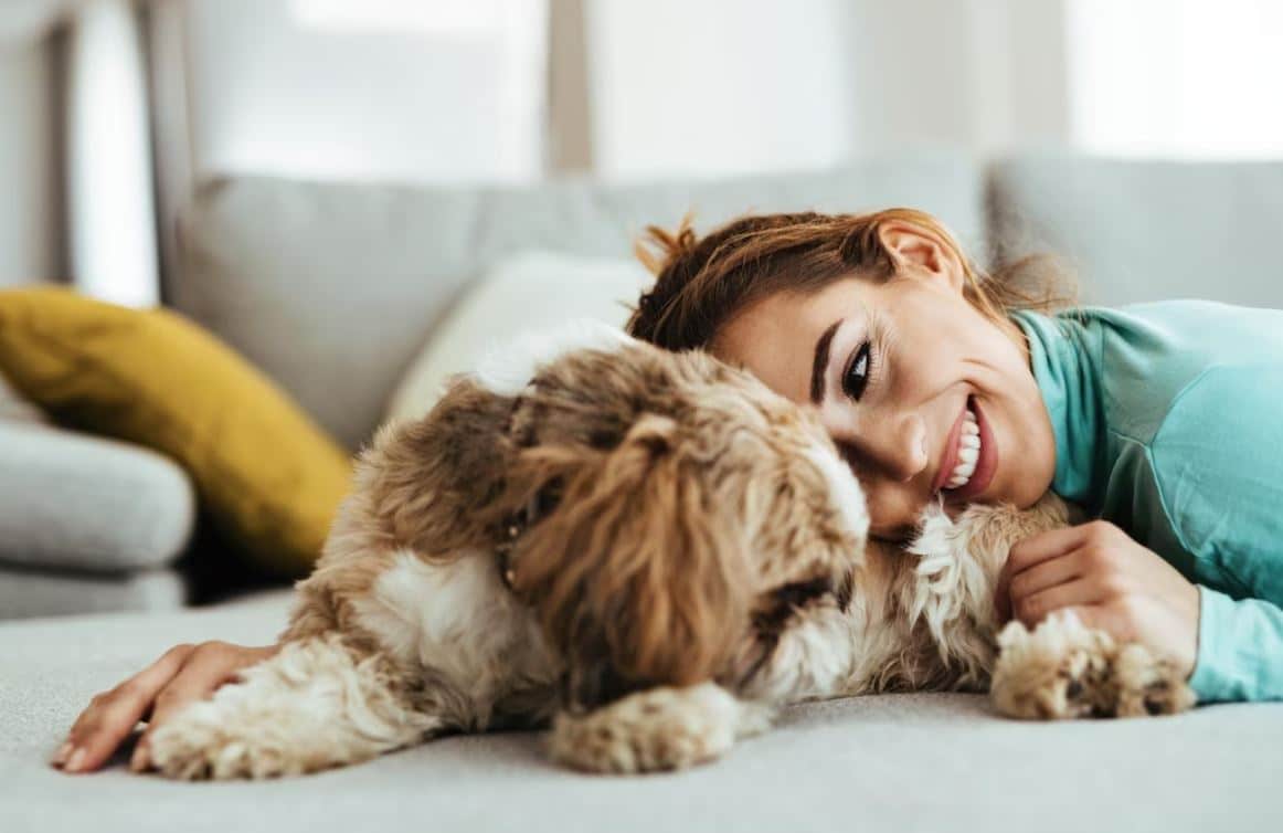 Why Choose Cremation for Your Beloved Companion Why Choose Cremation for Your Beloved Companion