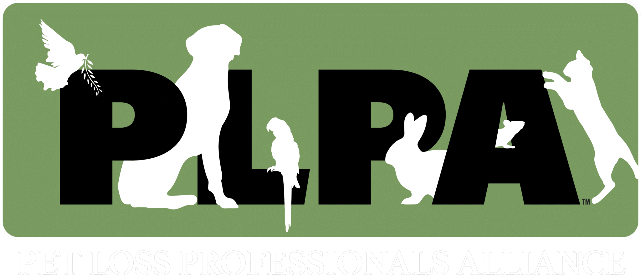 Honoring Your Pet By Supporting Shelter Animals